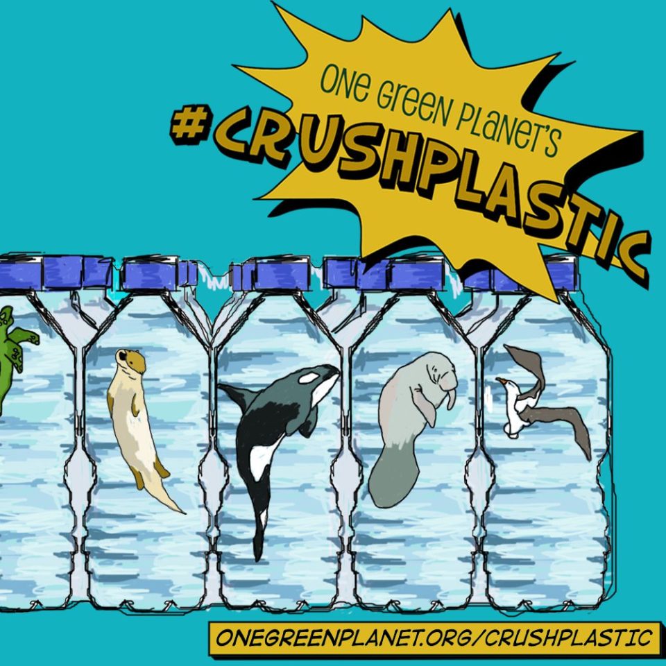 Recent Developments in Plastic Reduction | Dispenser Amenities